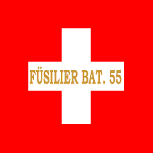 Swiss Army Flags