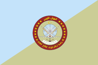 Air Defence, Libya