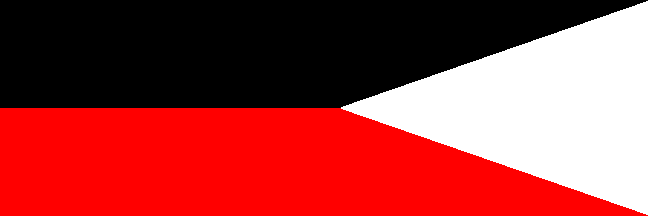 Lance pennons of the Polish Army (1920-39)