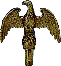 Military Finials (U.S.)