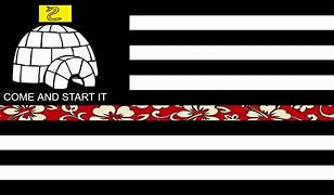 The Boogaloo Movement (U.S.)