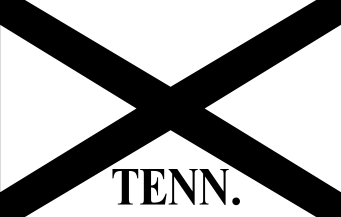The Southern Nationalist Flag (U.S.)