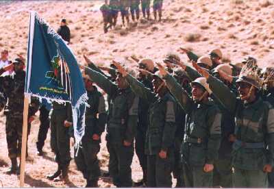 Lebanese Resistance Brigades (Lebanon)